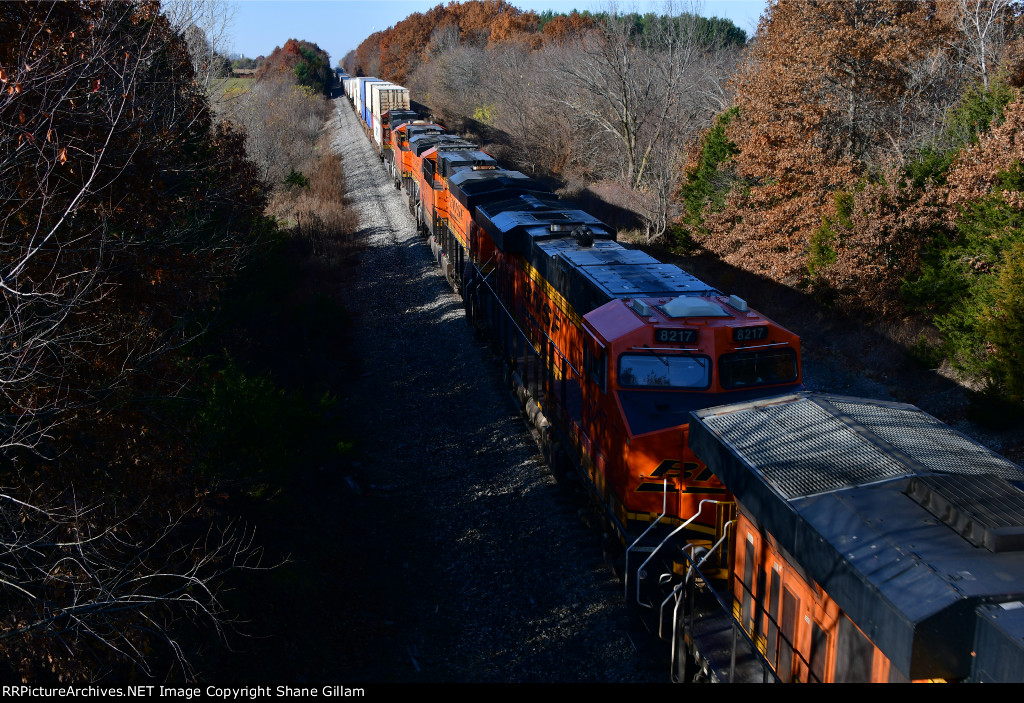 BNSF 8217 Roster shot.